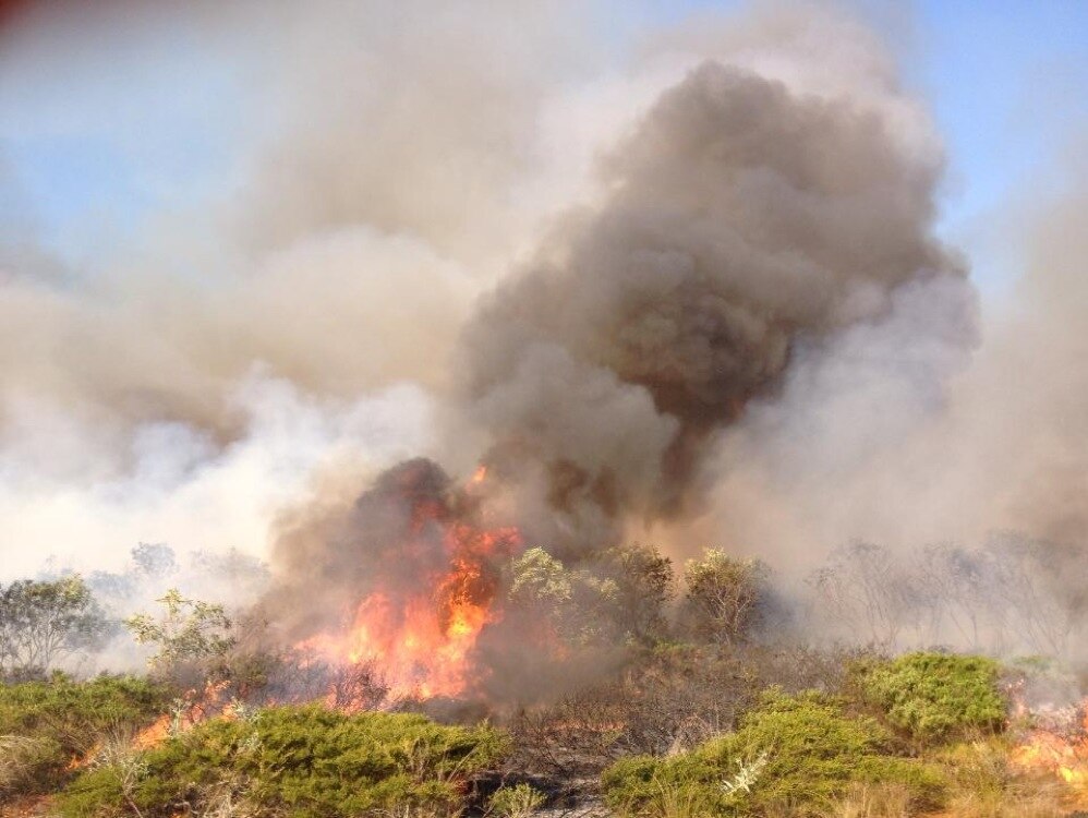 The Kimberley battling the cost of intense and frequent fires - ABC News