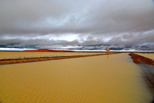 Channel Country desperate for major flood to rejuvenate land after four ...