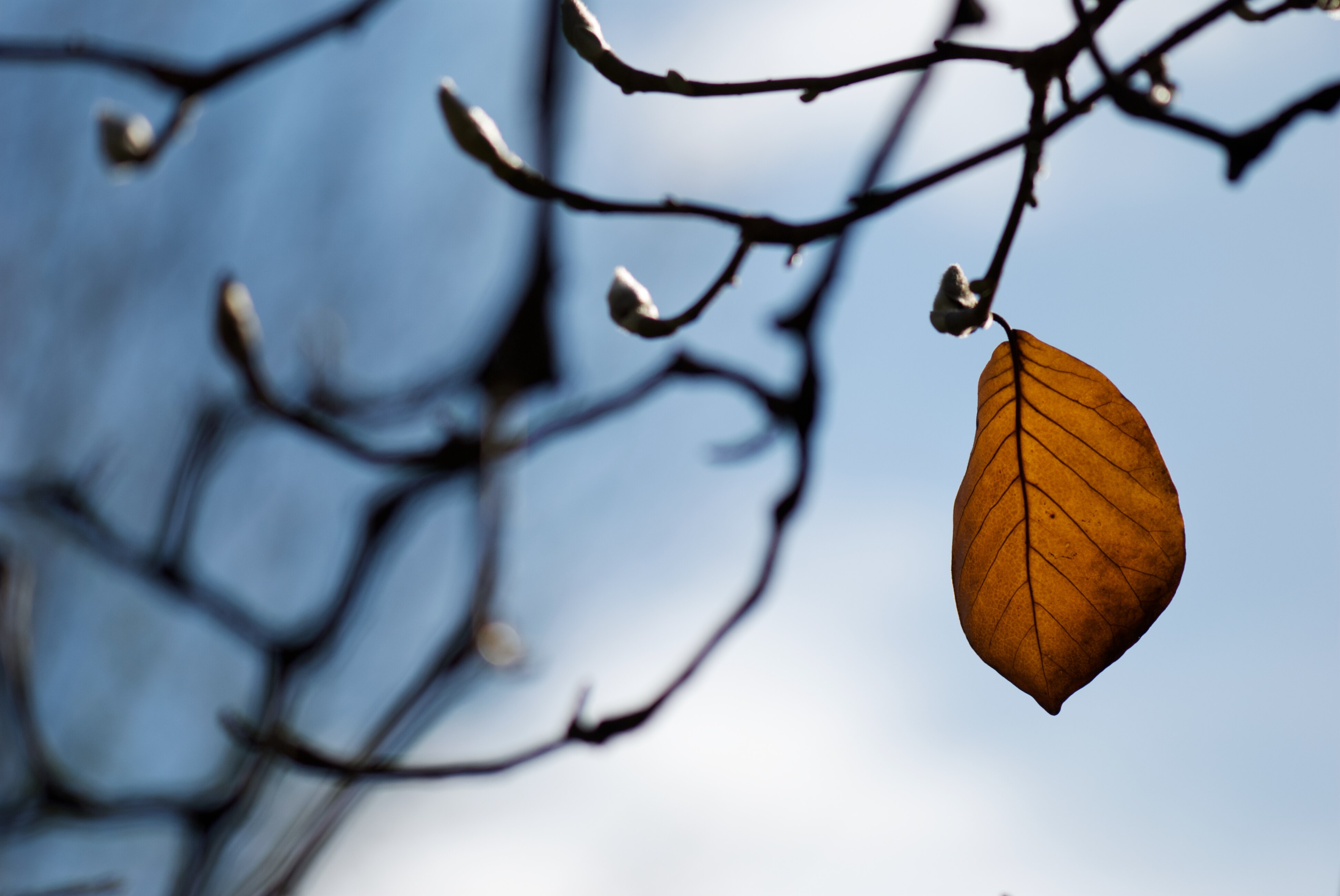 I’ve never seen much cause for hope, but that doesn’t mean I’ve given ...