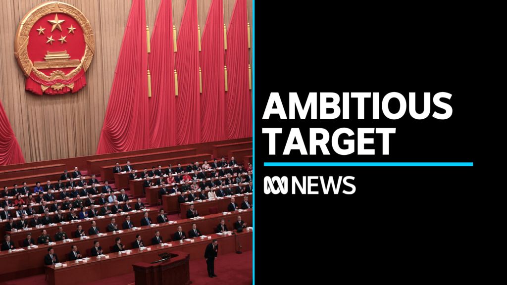 RSPCA program to assist people escaping domestic violence - ABC News