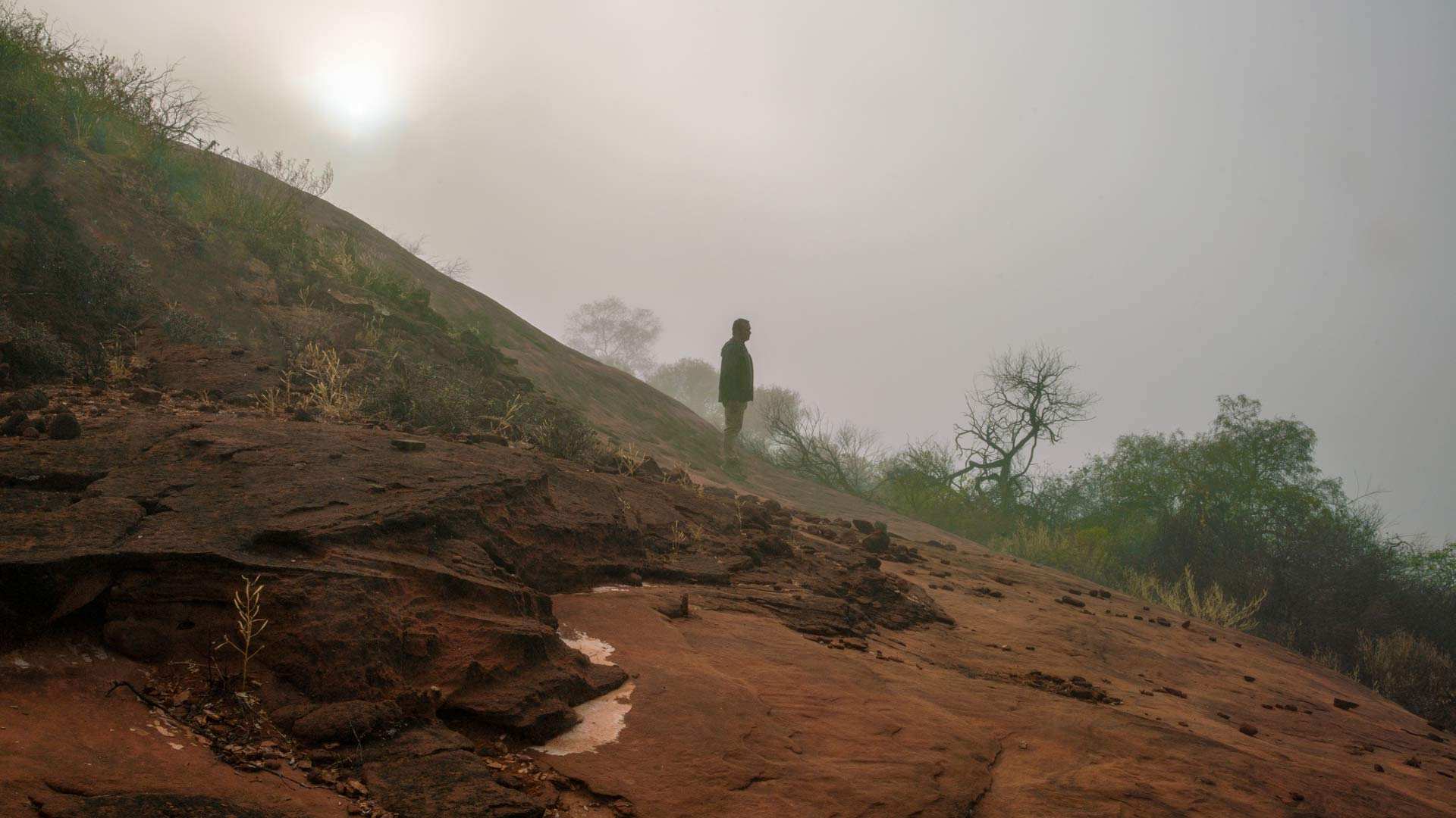 Back to Nature - ABC Education