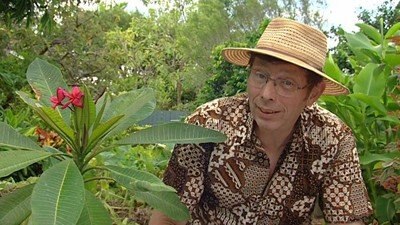 Ask It/Solve It: Righting Lopsided Plants, Split Lemons - Gardening ...