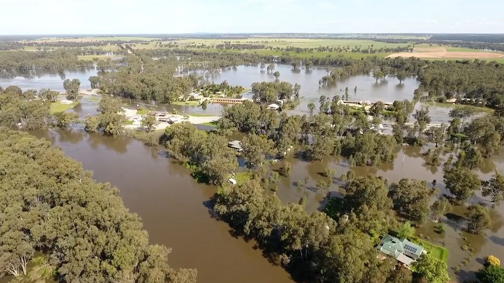 Flooding on the Murrumbidgee River - ABC News
