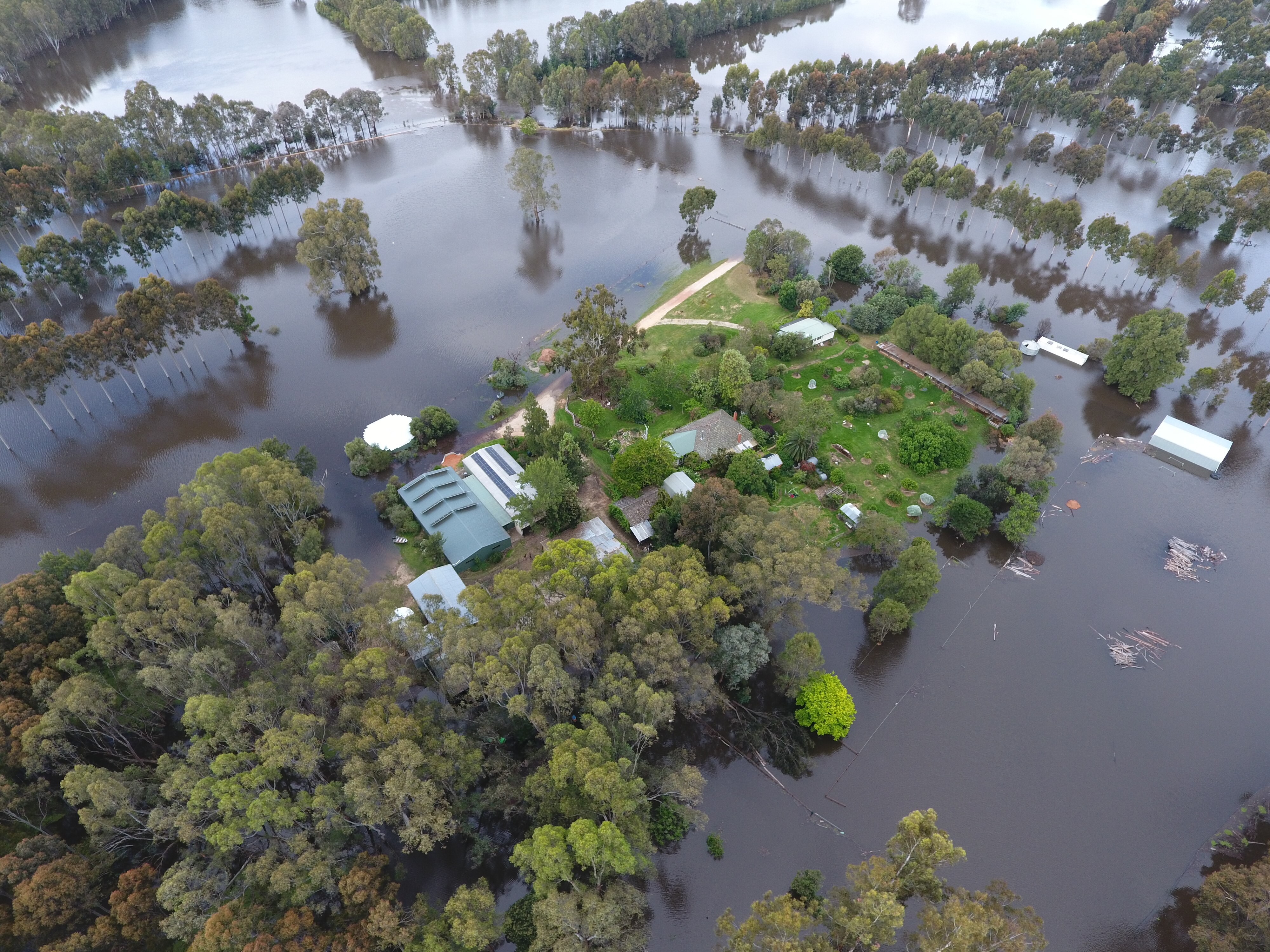 Farmers swap tractors for boats to access properties along flooded ...