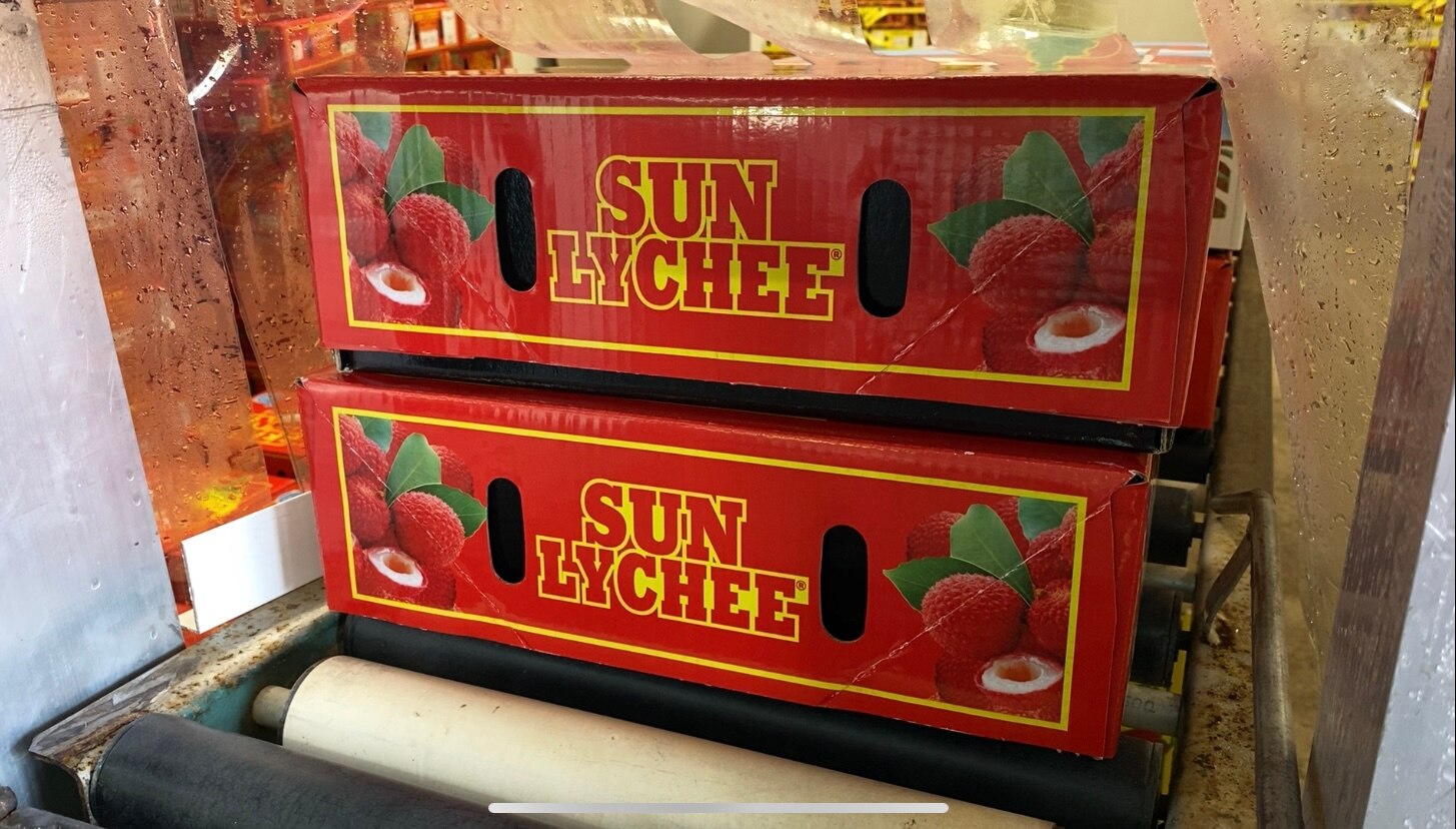 Australian lychee season extends further into summer due to unseasonal ...