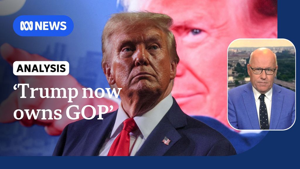 John Lyons says Trump now owns the Republican party - ABC News