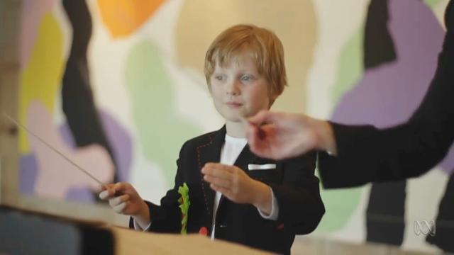 Play School: How to be a conductor of an orchestra - ABC Education