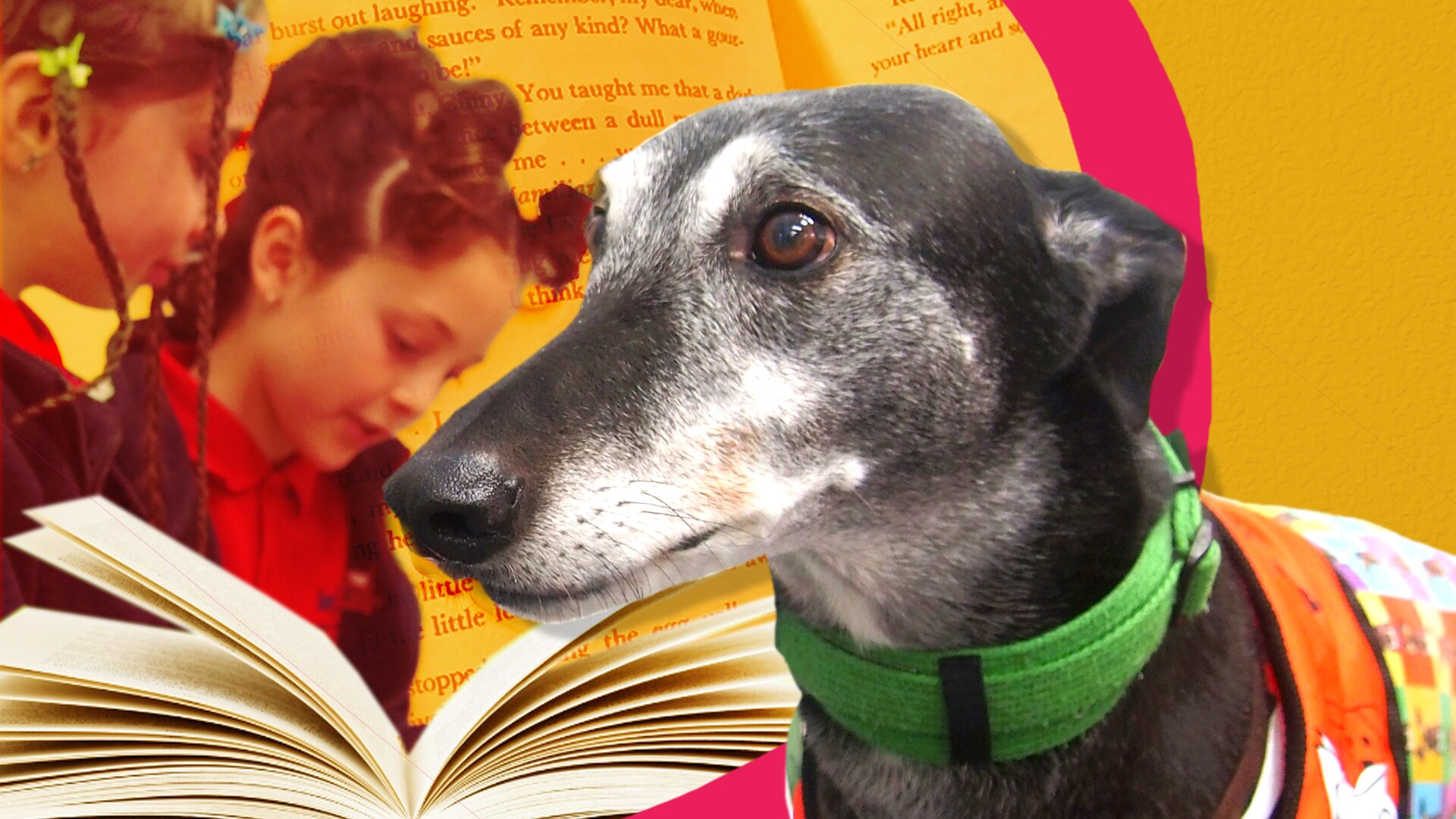 Story Dogs lend their ears to help young readers shine - ABC News