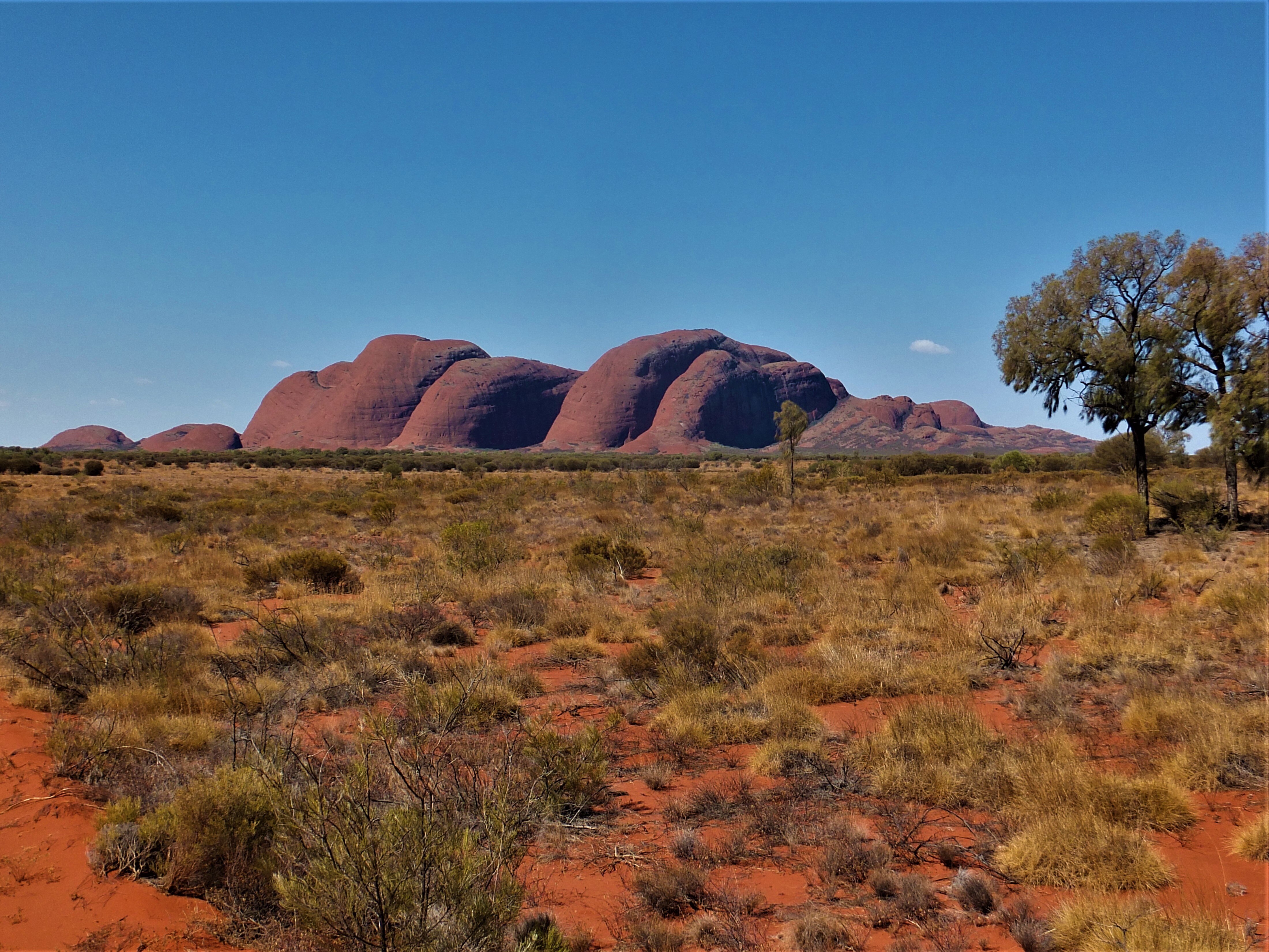 Song With No Boss: Episode One - ABC listen