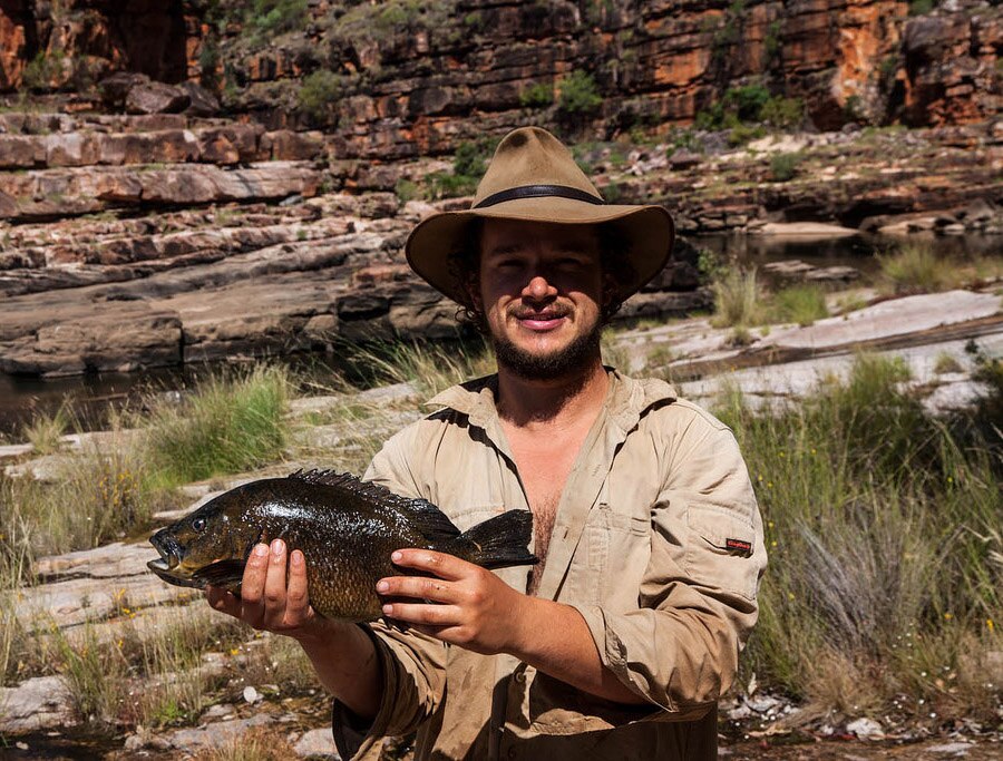 Tropical fish in WA Kimberley facing extinction from climate change ...
