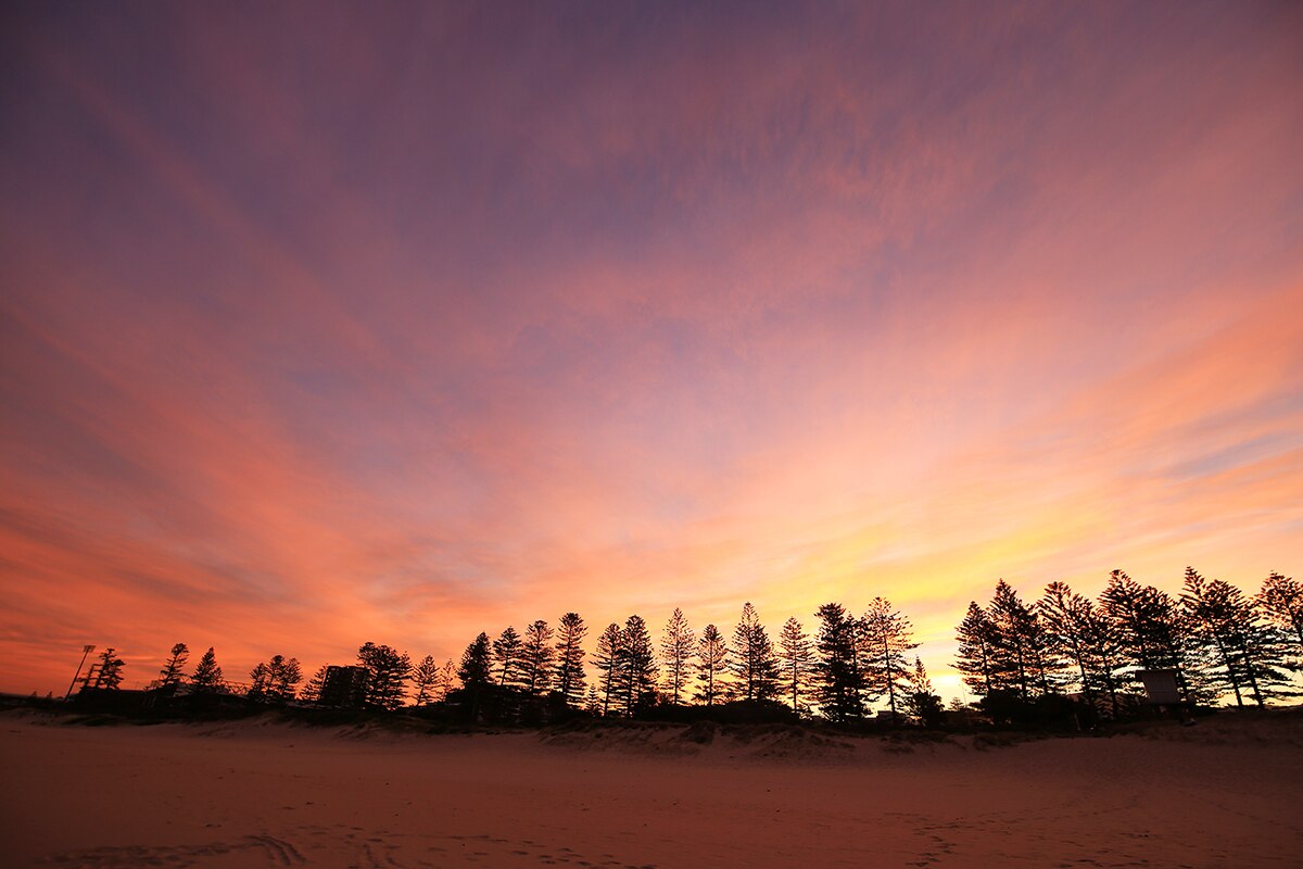 Hannah Laxton-Koonce - ABC News