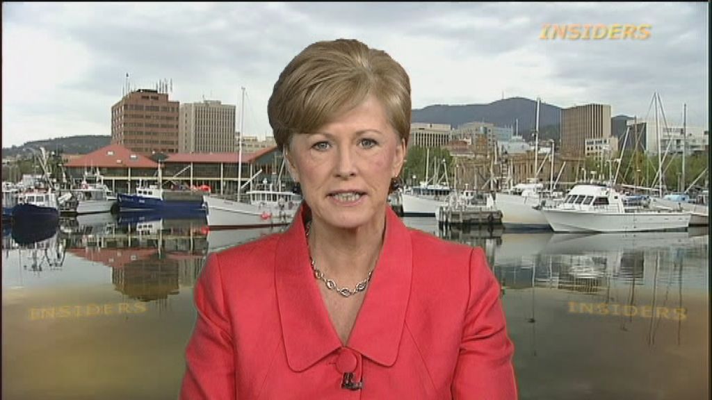 Christine Milne discusses the year in politics - ABC News