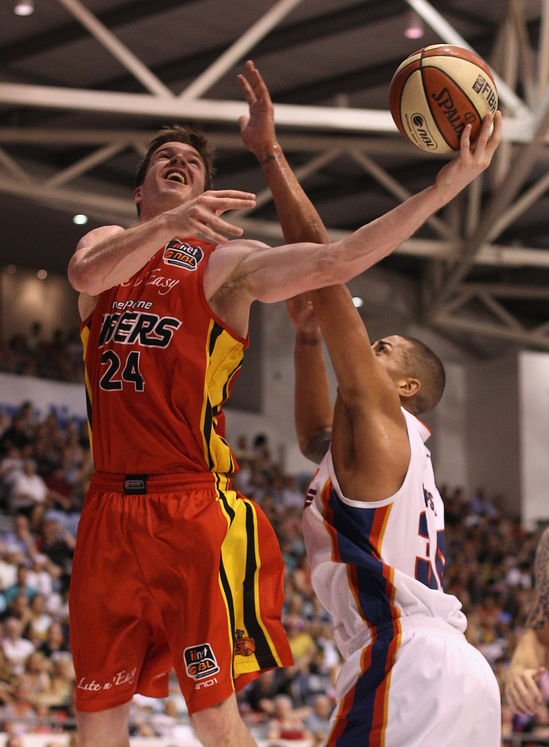 Tigers too good for Kings - ABC News