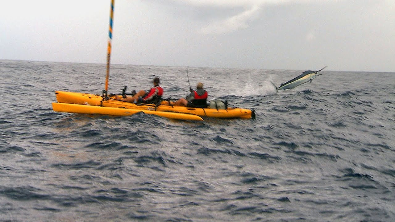 The Big Fish battling billfish - ABC listen