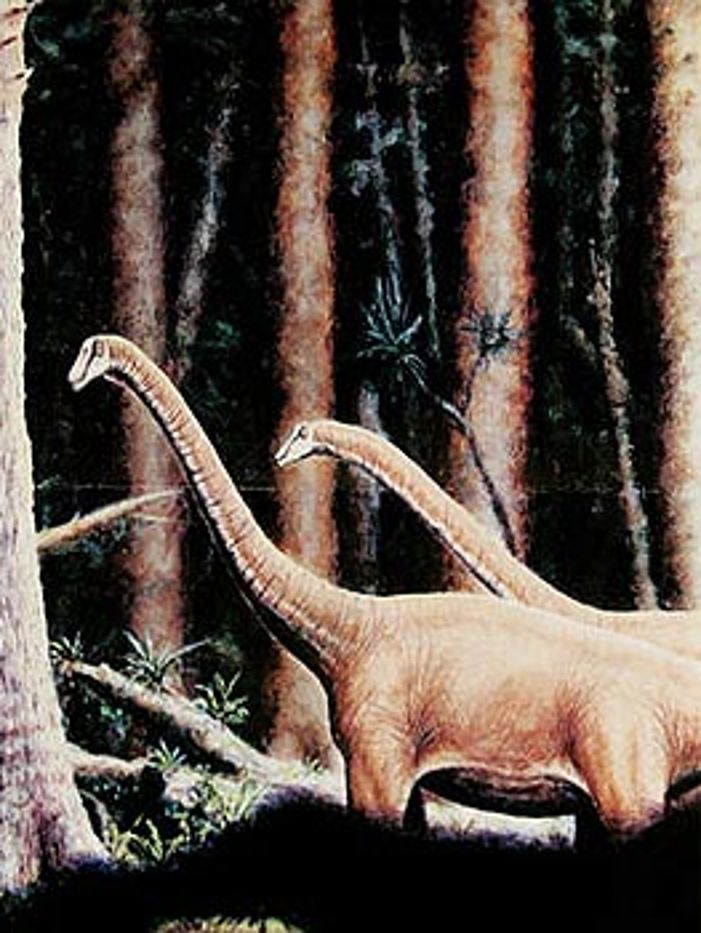 Dinosaur flatulence may have warmed Earth - ABC News