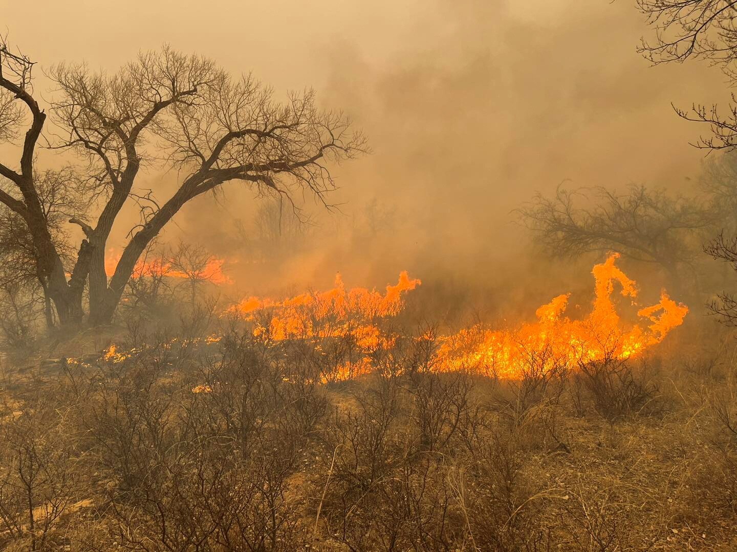 Wildfire grows into second largest in Texas history, briefly shuts down ...