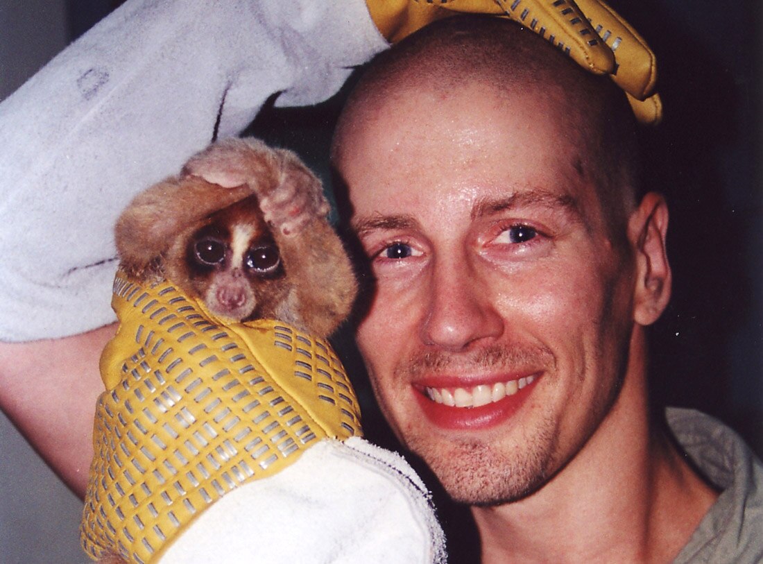 Venomous primate's cat-like toxin a breakthrough for allergy ...