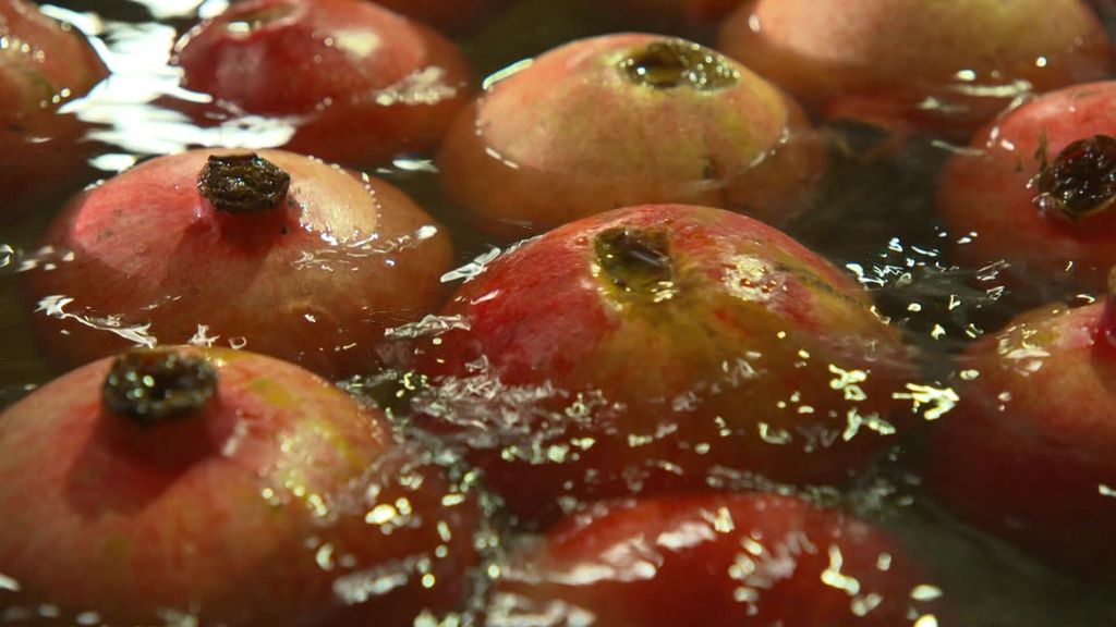 Ancient Fruit: Turning a biblical fruit into an Australian success ...