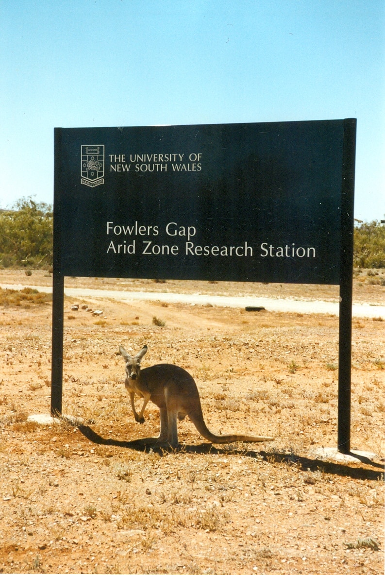 Fowlers Gap research station still important to global science after 50 ...