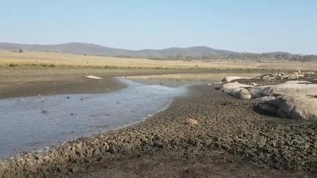 Leslie Dam near Warwick had 29mm of rain - ABC News