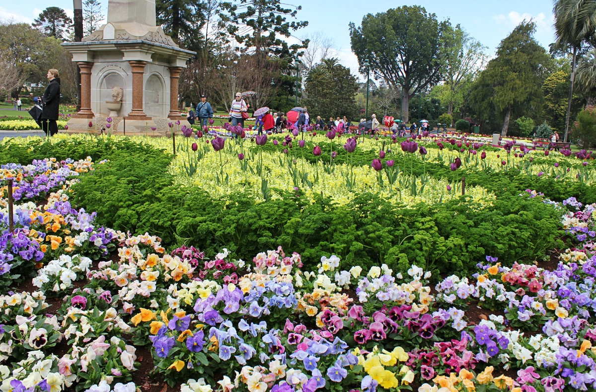 Toowoomba Flower Festival 2018 Parade | Best Flower Site