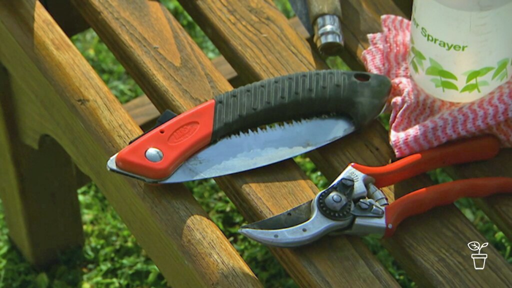 Pruning Kit - Gardening Australia