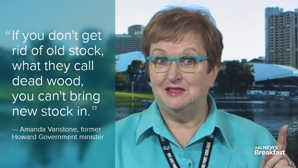 Amanda Vanstone calls for veteran Liberal 'dead wood' to leave ...