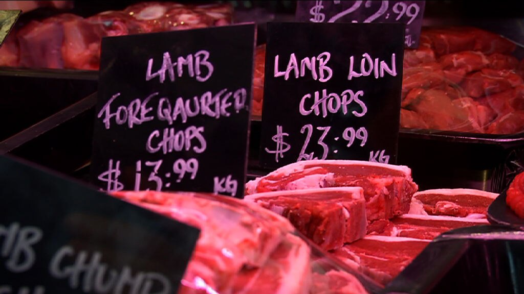 Smart Lamb - ABC News