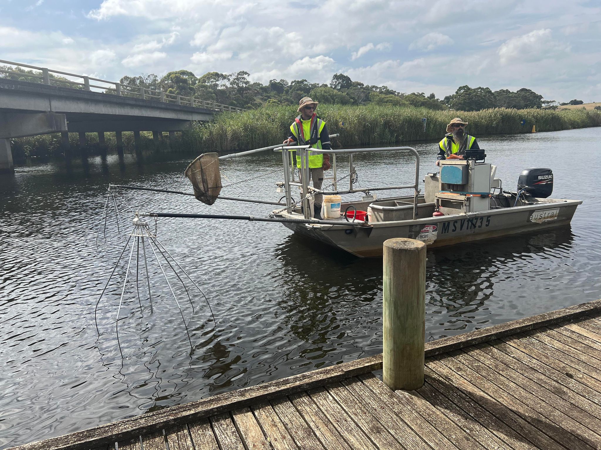 Electrofishing allows aquatic experts to count fish in the Curdies ...