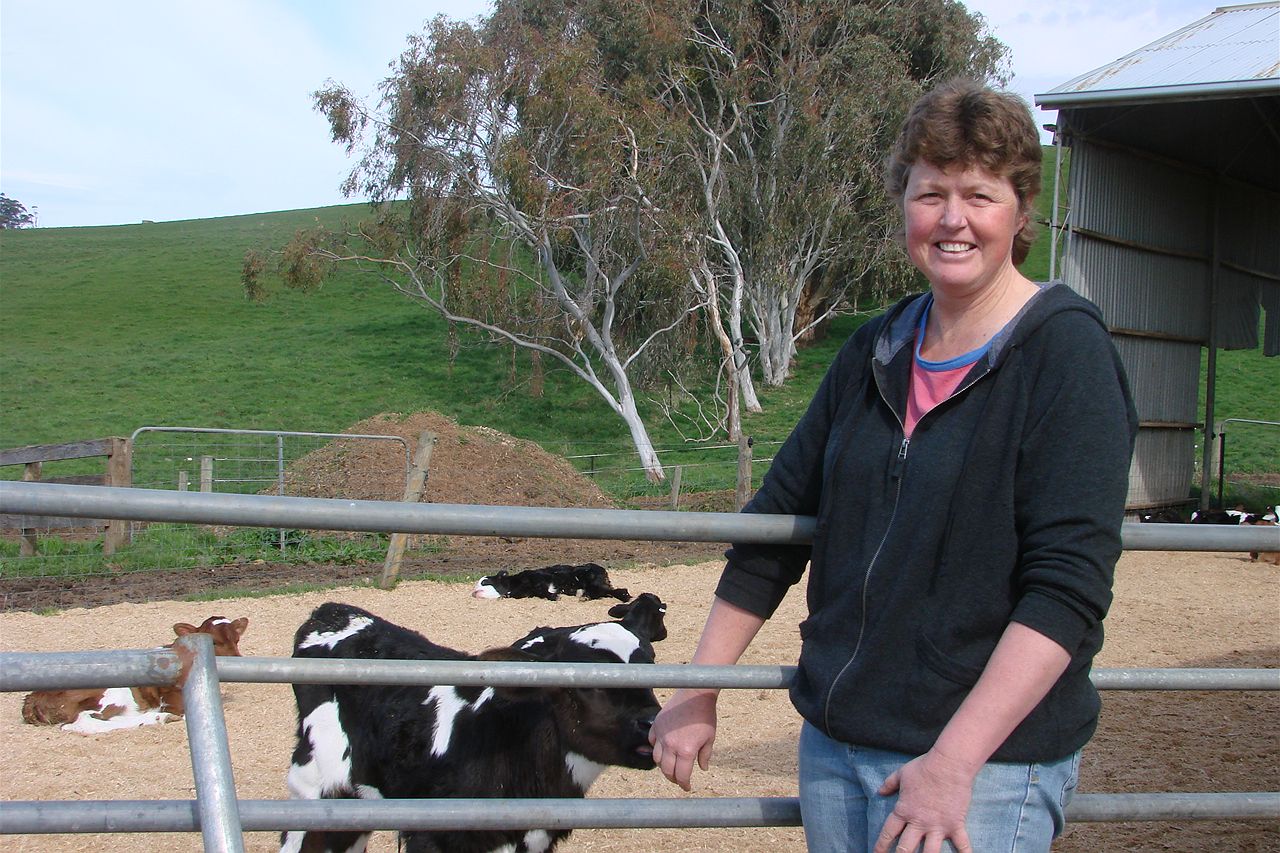 Ringarooma - 7263 - Location - ABC News