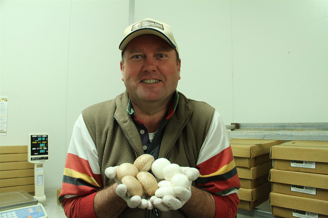 Making mushroom magic - ABC News