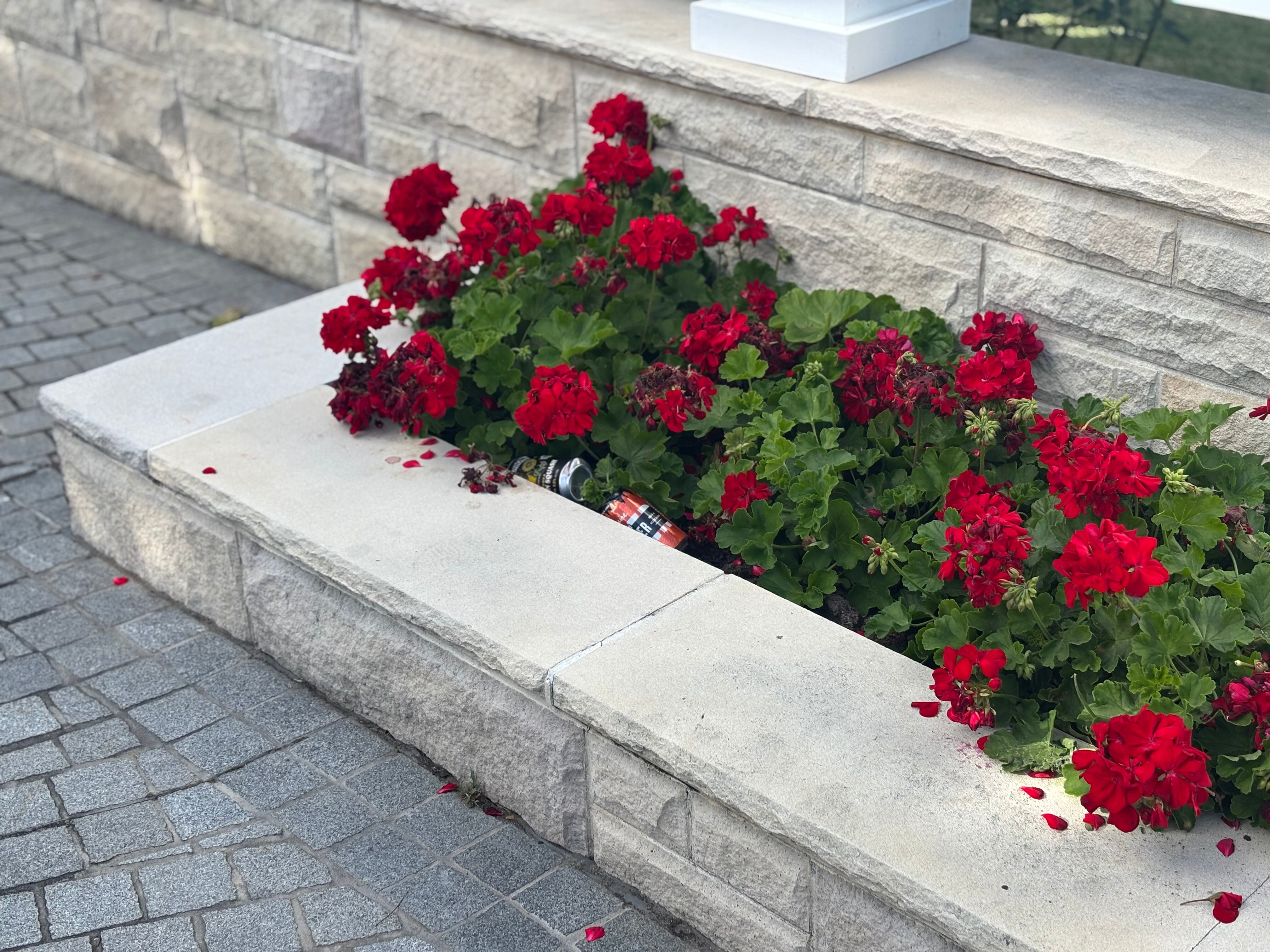 Queensland police charge 15-year-old boy with alleged murder of ...