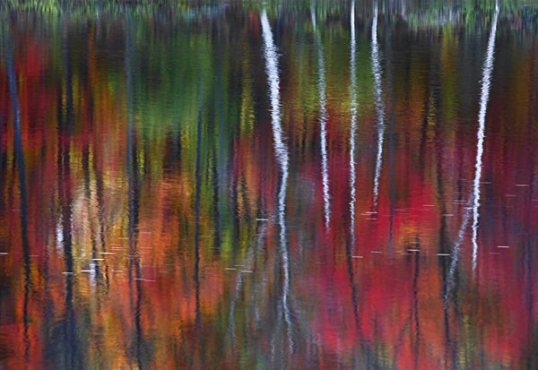 Peter Lik: Who is the record-breaking photographer behind the $7.8m ...