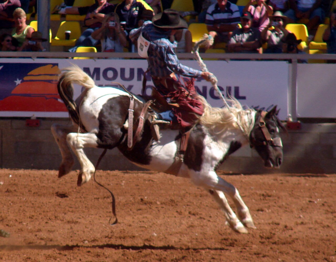 Marrabel - 5413 - Location - ABC News