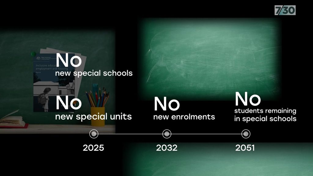 Debate continues over the phasing out of special schools - ABC News