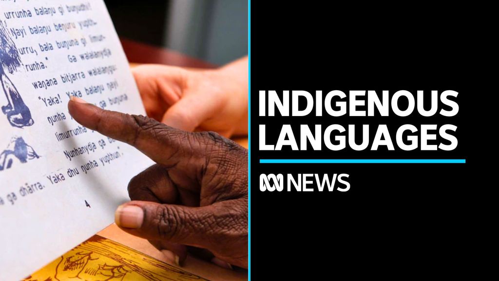 Global Indigenous language conference underway in Darwin - ABC News