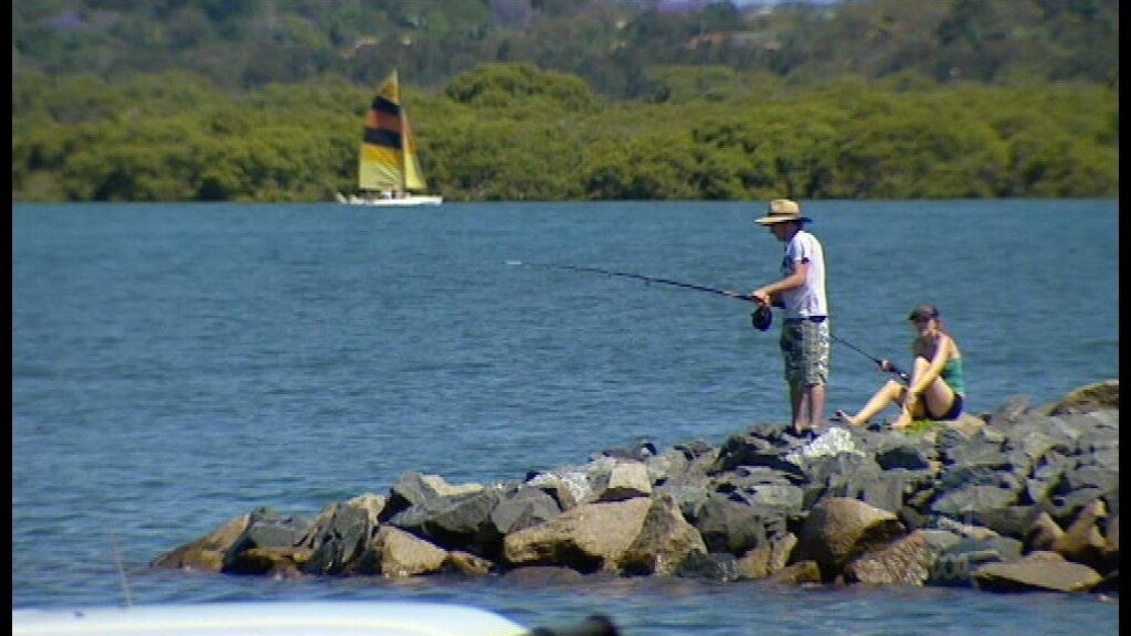Moreton Bay artificial reef sites unveiled - ABC News