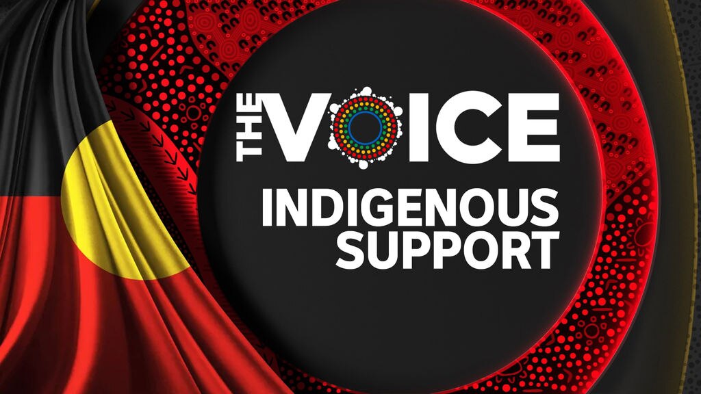 What do First Nations think of the Voice? - ABC News