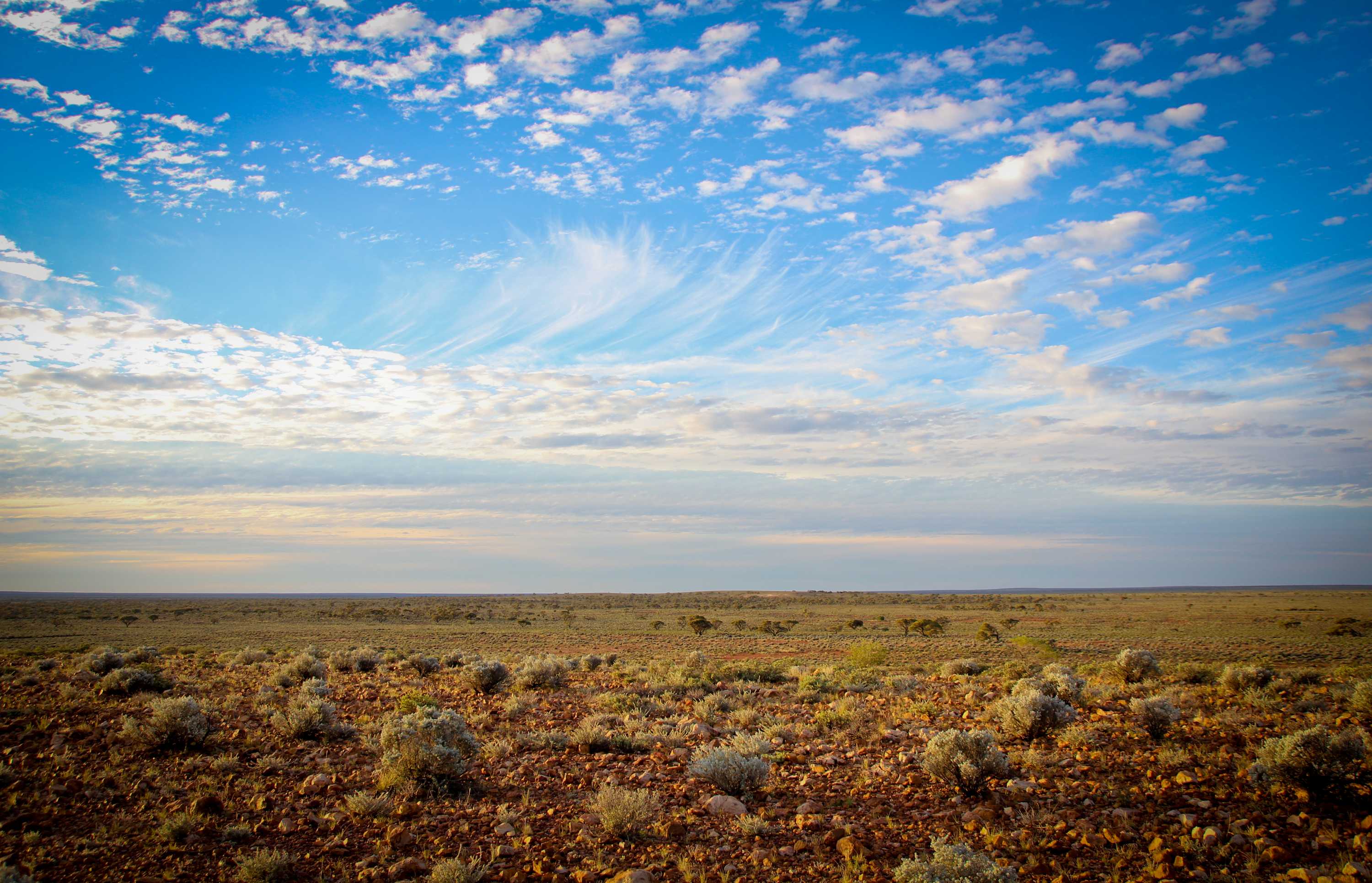 Mission to record Bon Bon Station Reserve's Indigenous heritage - ABC News