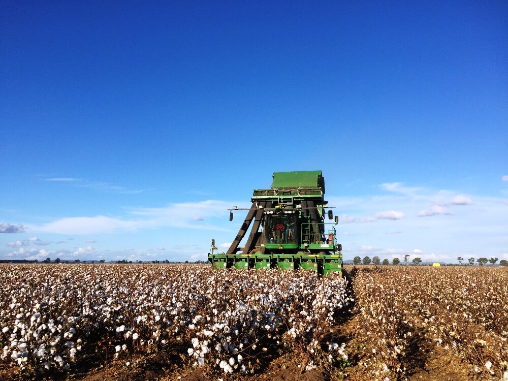 Australian growers excited as cotton price surges to 18-month high ...