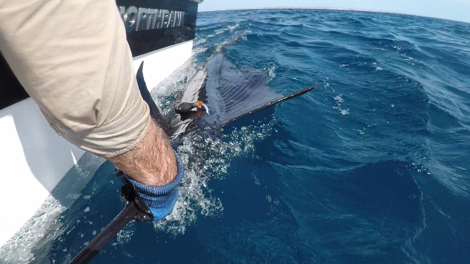 Bowfishing for stingrays (and how to make laksa with them) - ABC listen