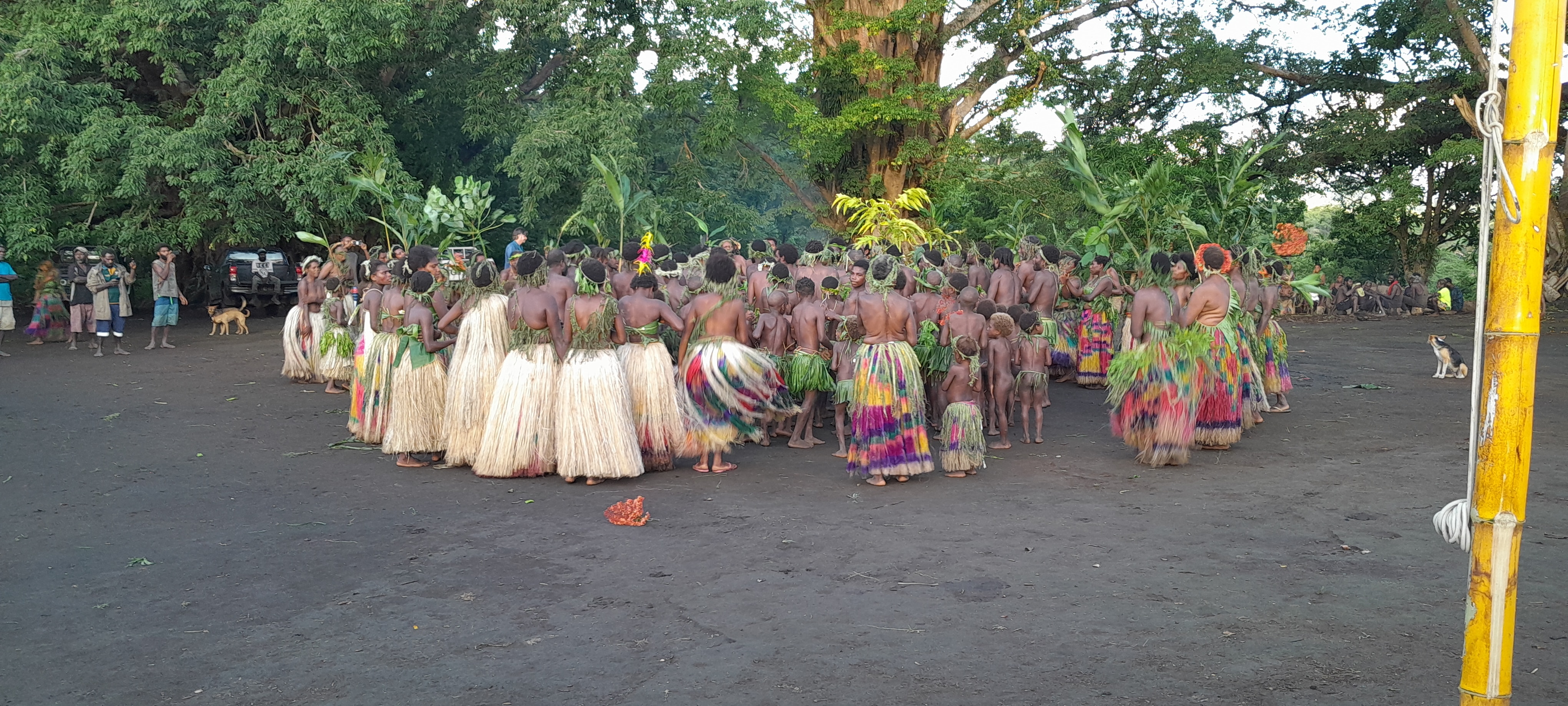 Traditional dance on Tanna in celebration of King Charles III's ...