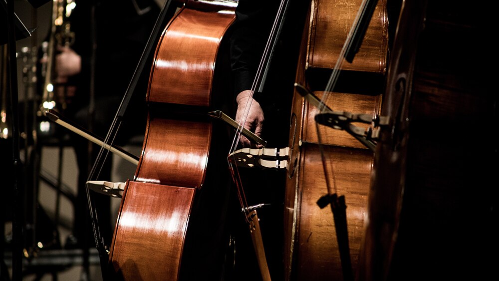 Saint Paul Chamber Orchestra: Rossini, Schubert and Schumanns. - ABC listen