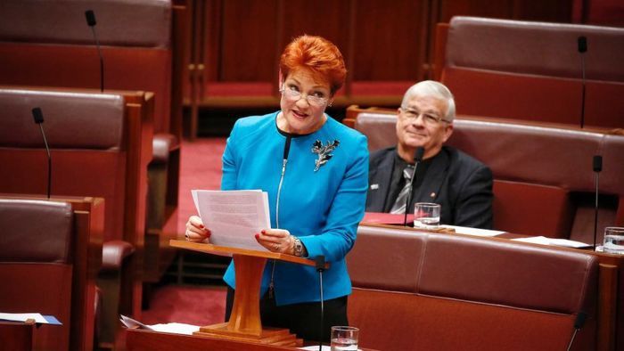 Pauline Hanson on Islam: When Elected Representatives Think like ...