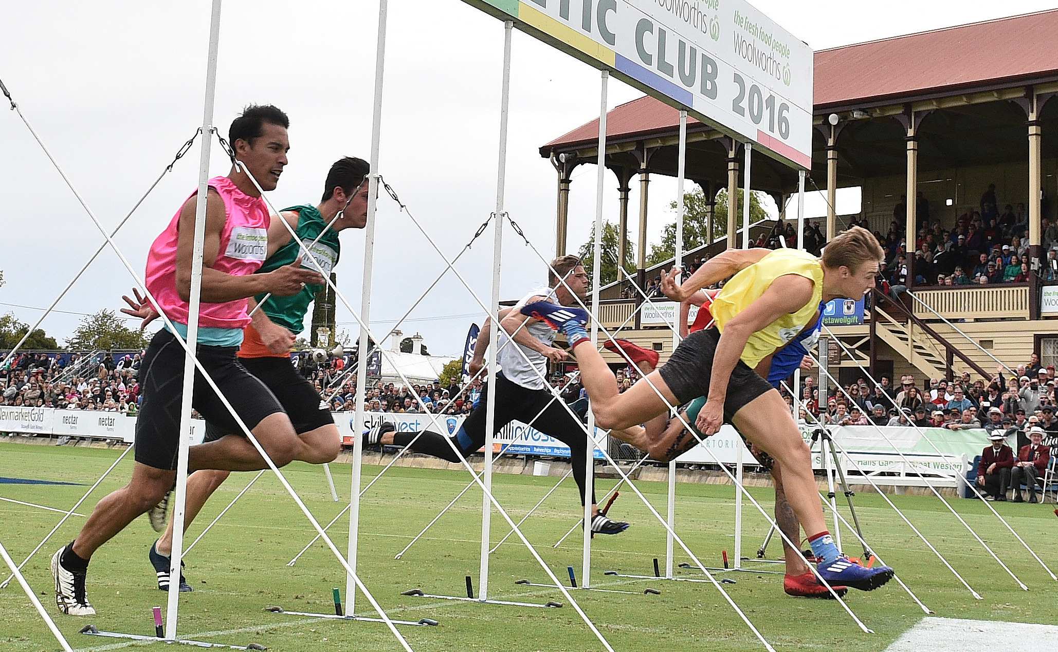 Stawell Gift 2016: Talia Martin, Isaac Dunmall win iconic running race ...