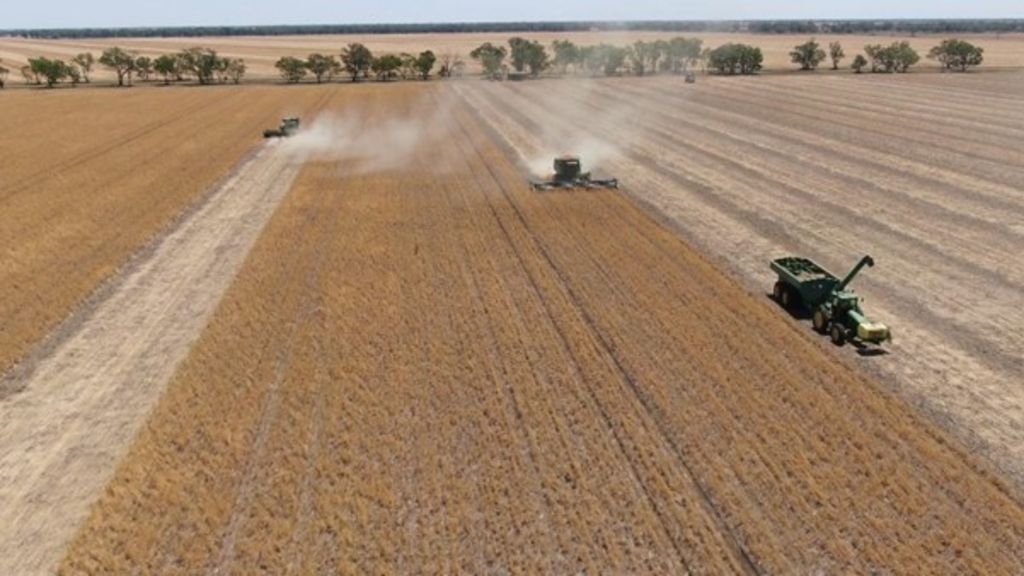 ABC Rural - ABC News