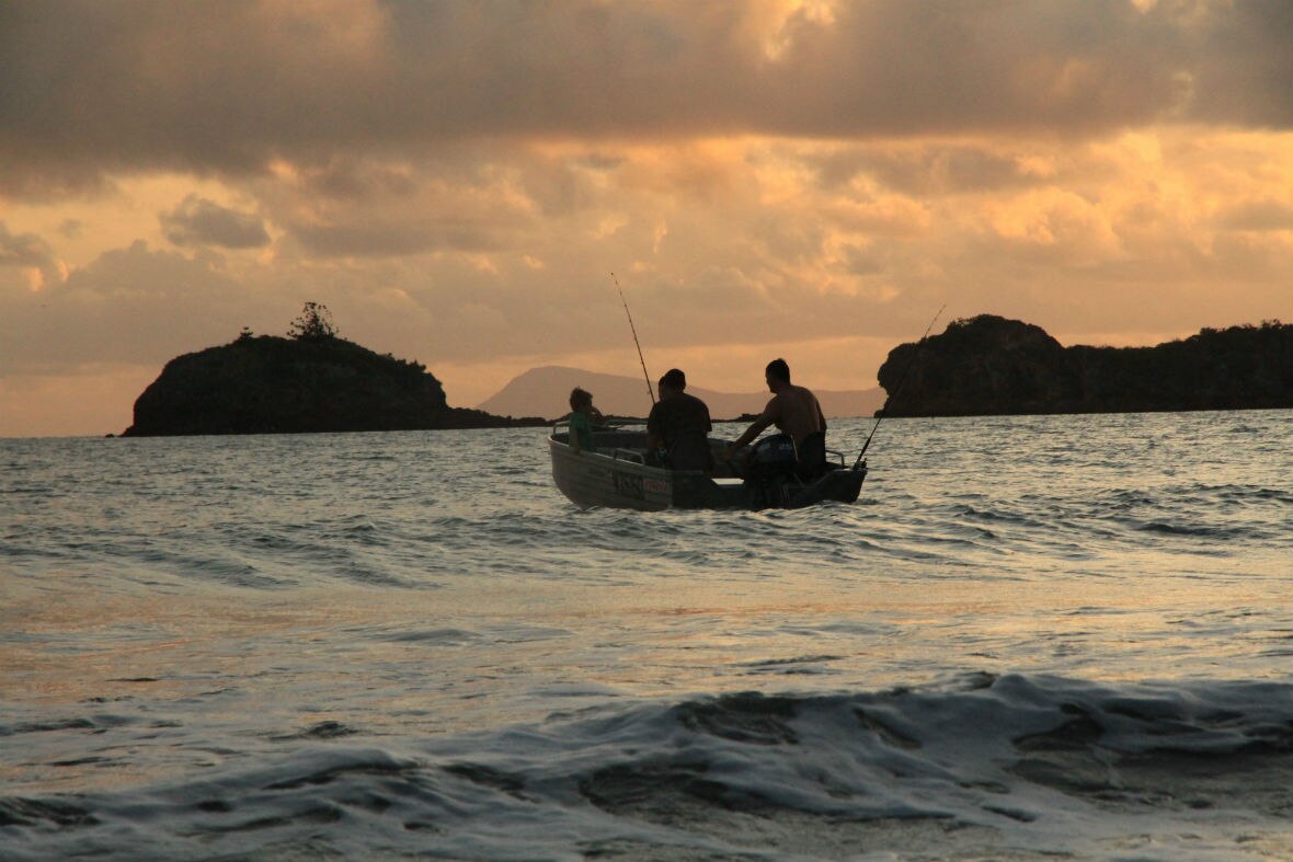 About ABC Tropical North - ABC Tropical North