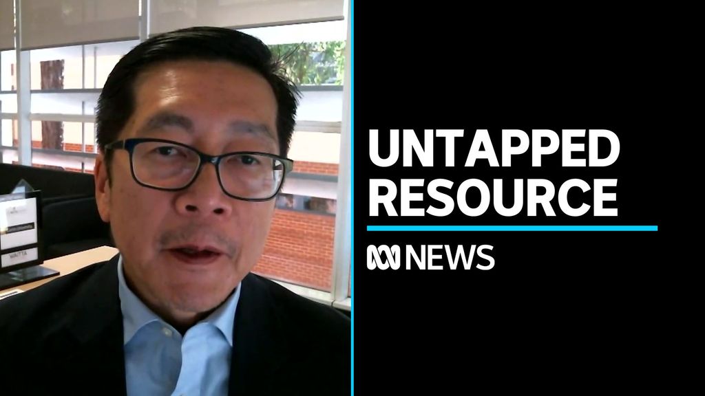 Neurodiverse individuals offer unique skills - ABC News