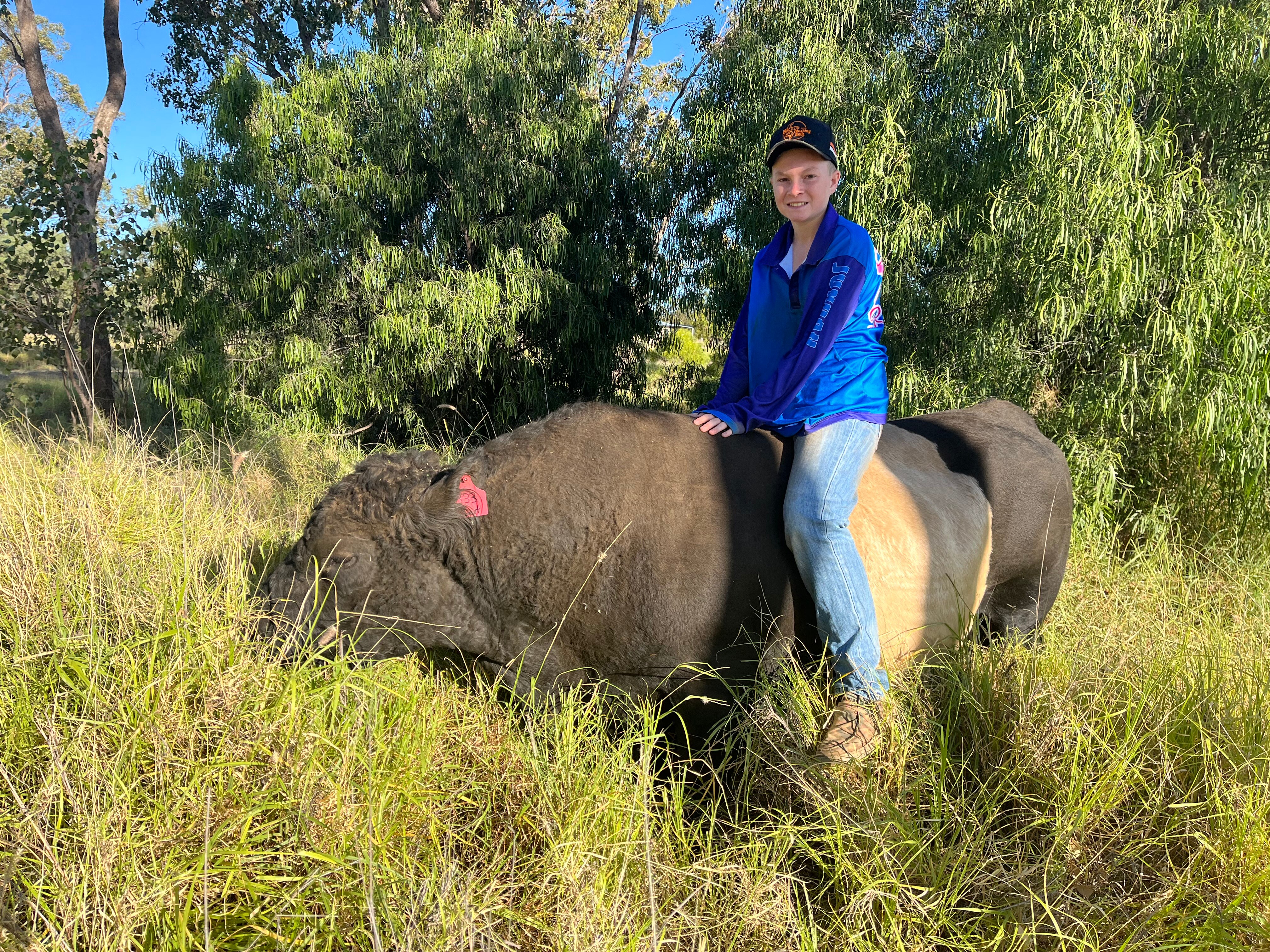 Outback Queensland's champion bull rider is only 12-years-old - ABC listen