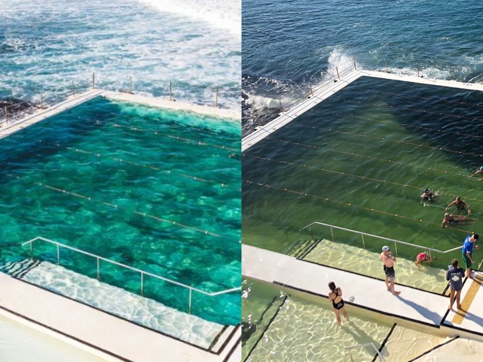 Sydney news: Icebergs pool drained after seaweed infestation and bull ...